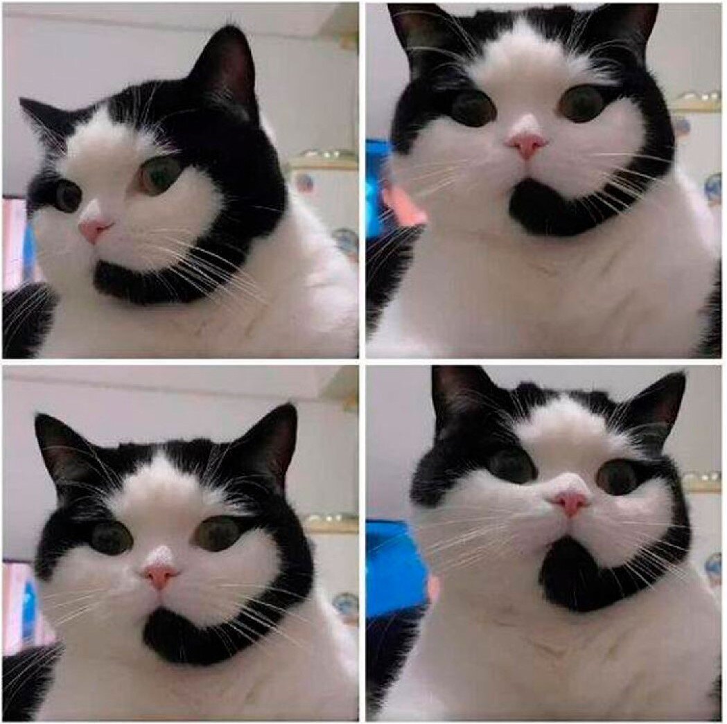 13 Tech & IT Memes to Laugh at Ourselves